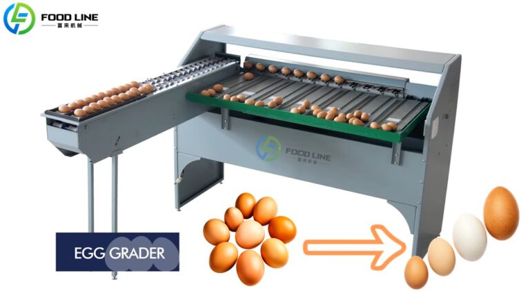 Small Scale Egg Grading Machine | Small Egg Grader Price