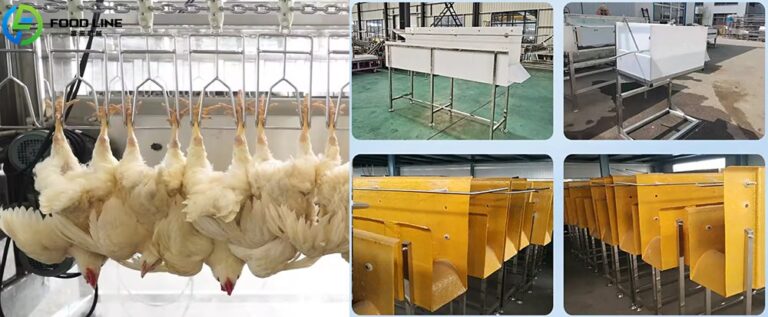 Chicken Stunning Machine for Sale | Electric Poultry Stunner